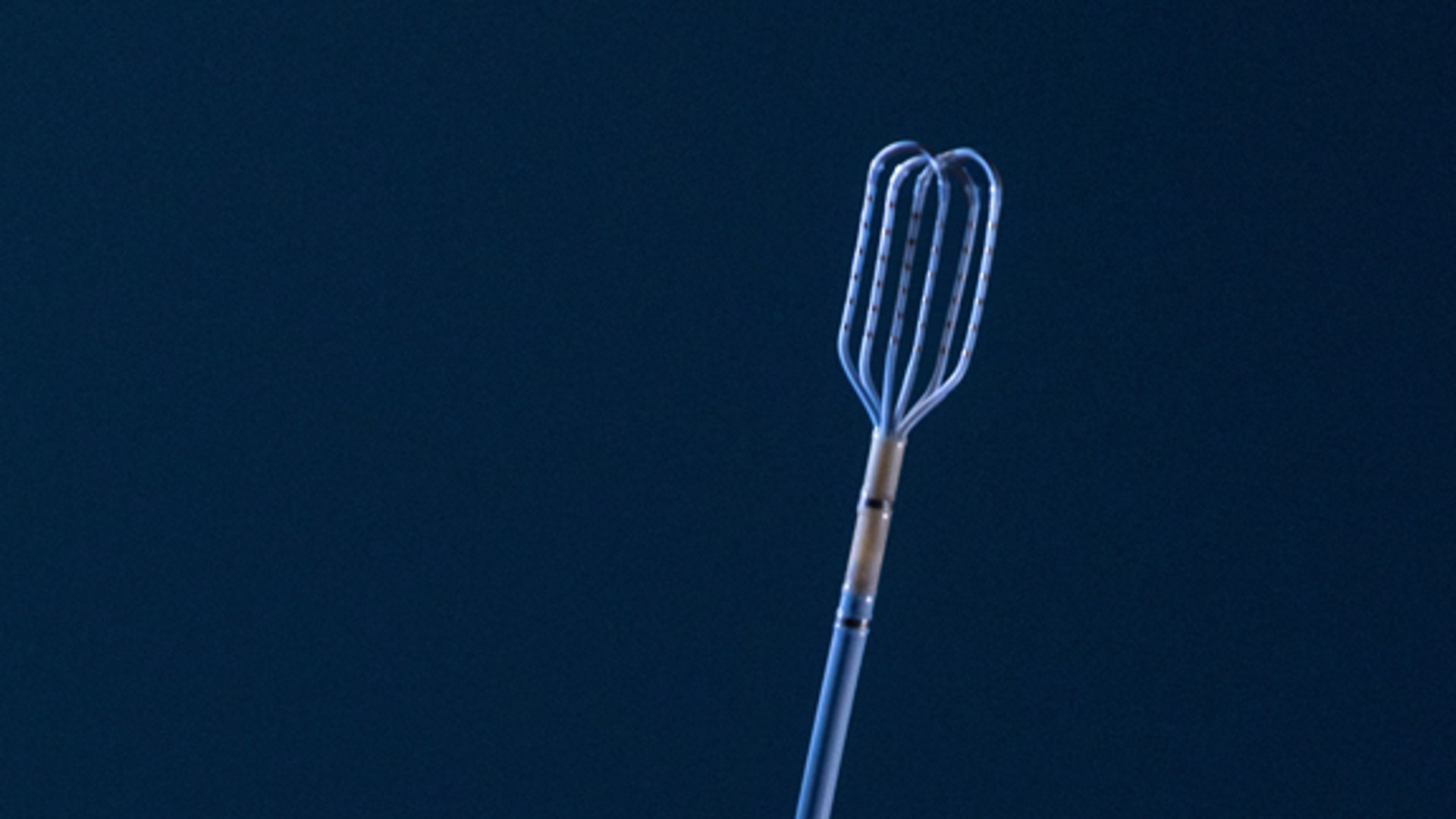 EP diagnostic catheters | J&J MedTech US