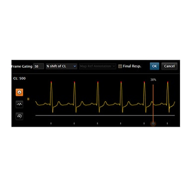 CARTOSOUND™ FAM Module | J&J MedTech US