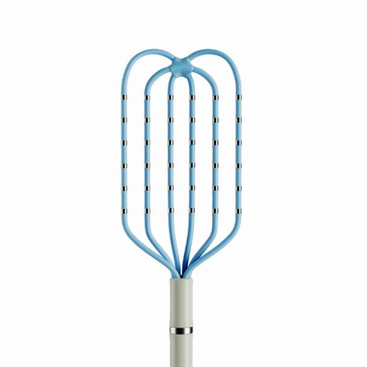 WEBSTER™ CS Catheter | J&J MedTech US
