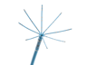 WEBSTER™ Duo-Decapolar Catheter | J&J MedTech US