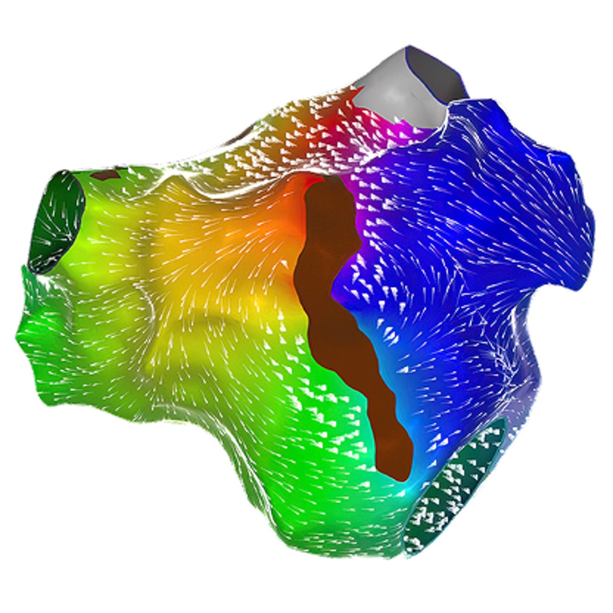 DECANAV™ Mapping Catheter | J&J MedTech US