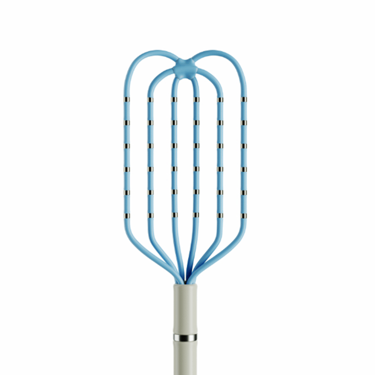 CARTO VIZIGO™ Bi-Directional Guiding Sheath | J&J MedTech US