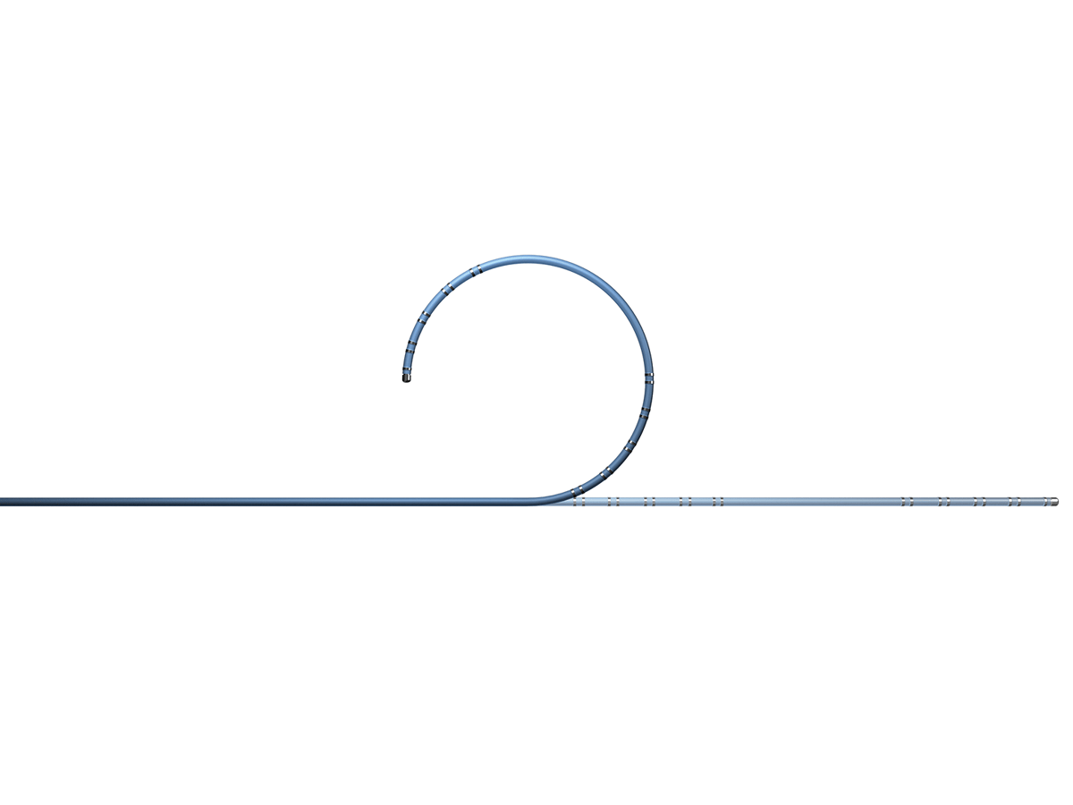 WEBSTER™ Duo-Decapolar Catheter | J&J MedTech US