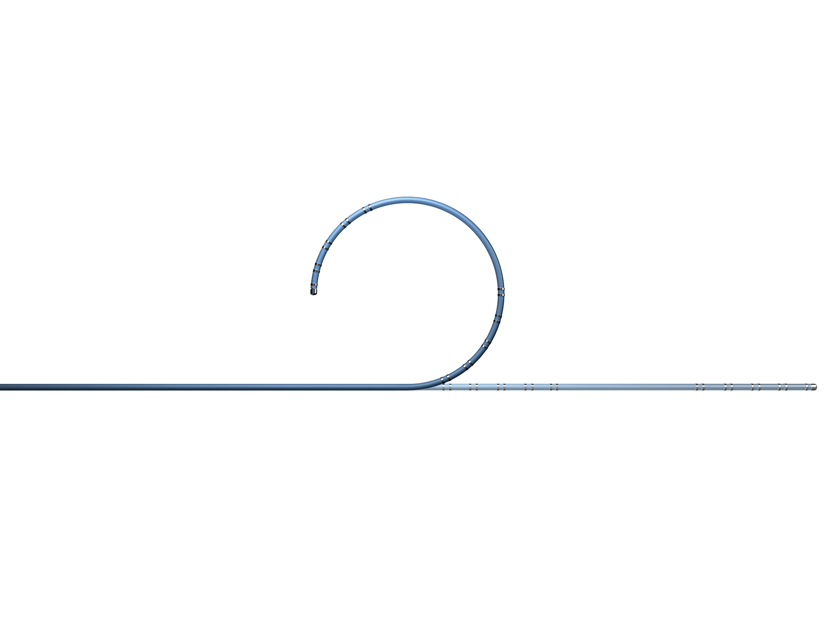 WEBSTER™ Duo-Decapolar Catheter | J&J MedTech US