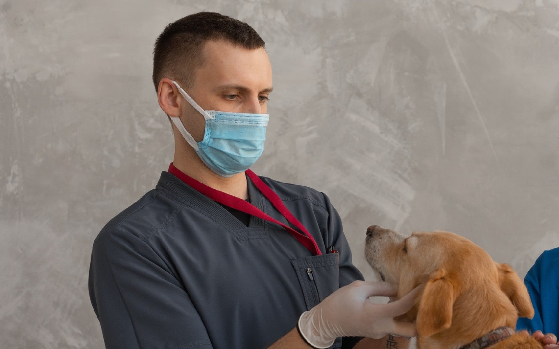 3 Ways Veterinary Technicians Improve Your Pet’s Care - Anivive ...