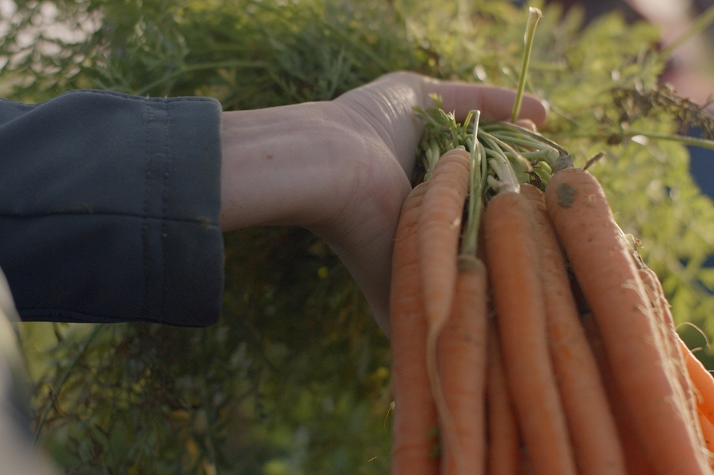 Nutrilite Traceability