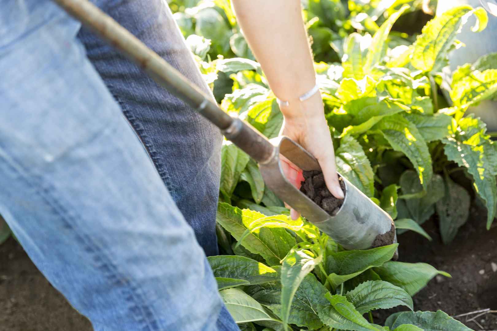 Nutrilite Traceability