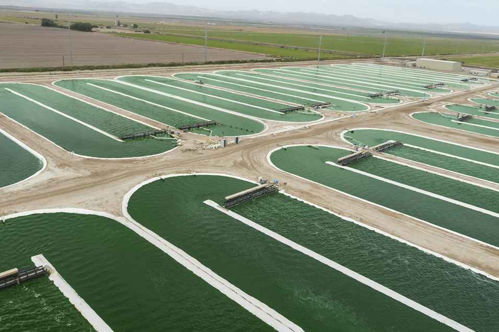 Nutrilite Traceability