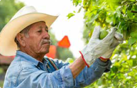 Nutrilite Traceability