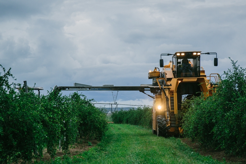 Nutrilite Traceability