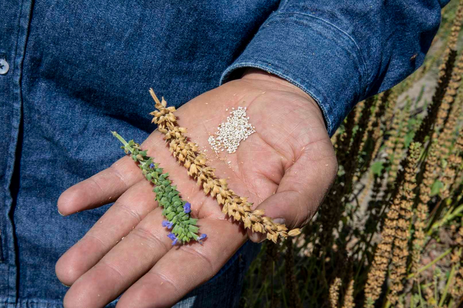 Nutrilite Traceability