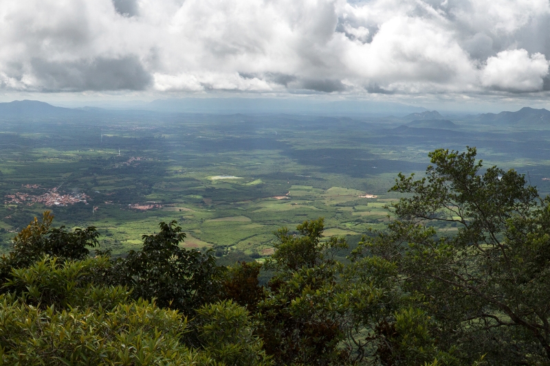 Nutrilite Traceability