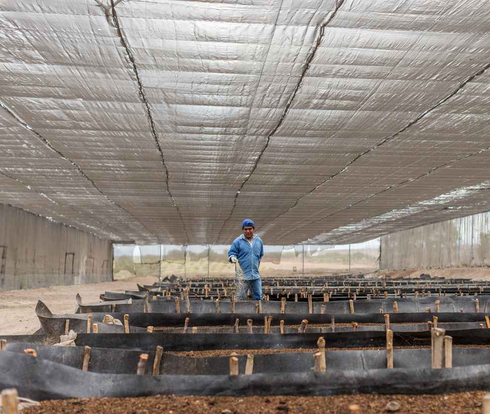 Nutrilite Traceability