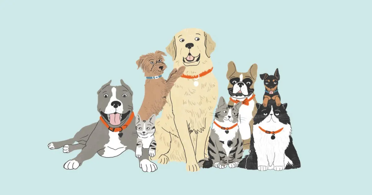 Helping Pets Find Their Forever Homes | Zoetis Petcare