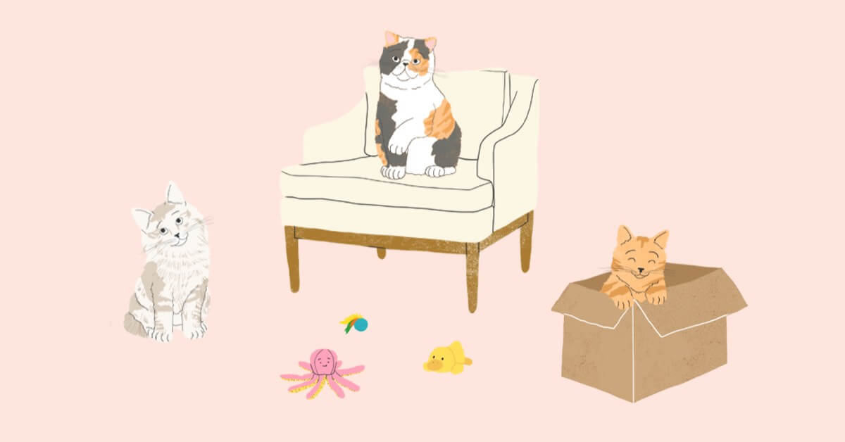 Cat-Proofing Checklist | Zoetis Petcare
