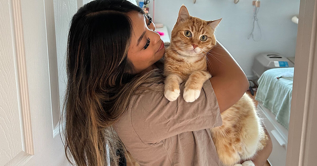 Protecting Indoor and Outdoor Cats from Ticks | Zoetis Petcare