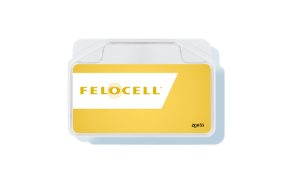 Pet Care. Made Better. | Zoetis Petcare