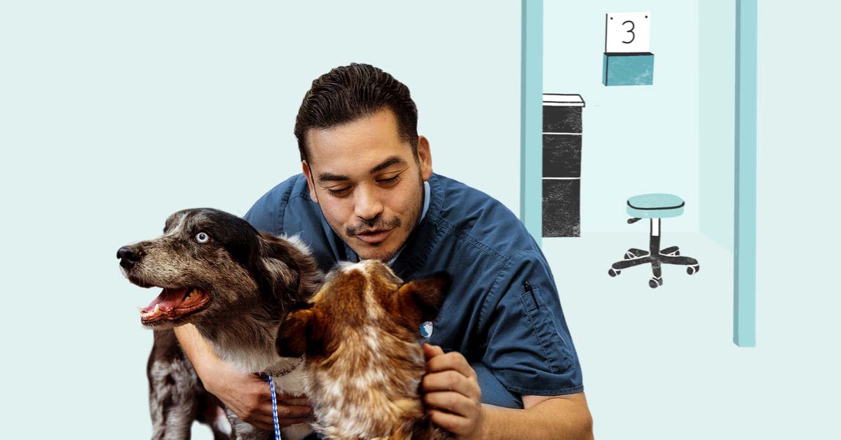 We Take Care of Pets, Like Pets Take Care of You™ | Zoetis Petcare