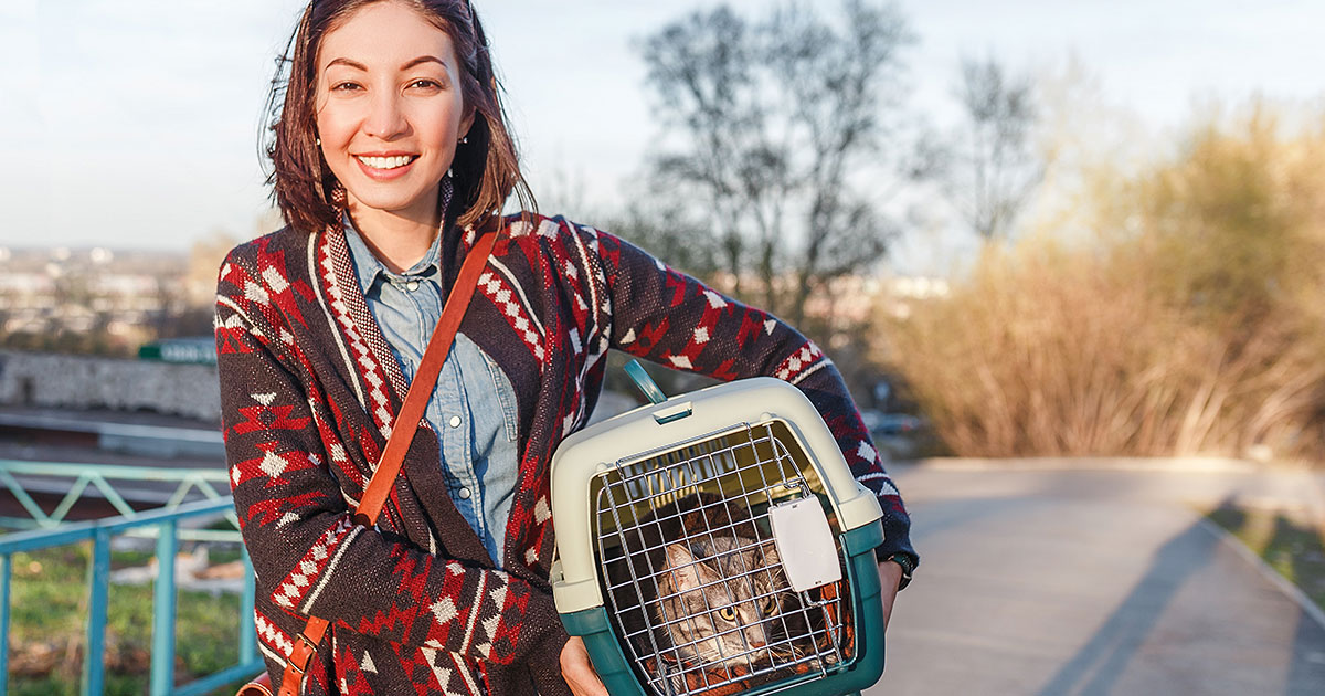 Steps to a Stress-Free Vet Visit for Your Cat | Zoetis Petcare