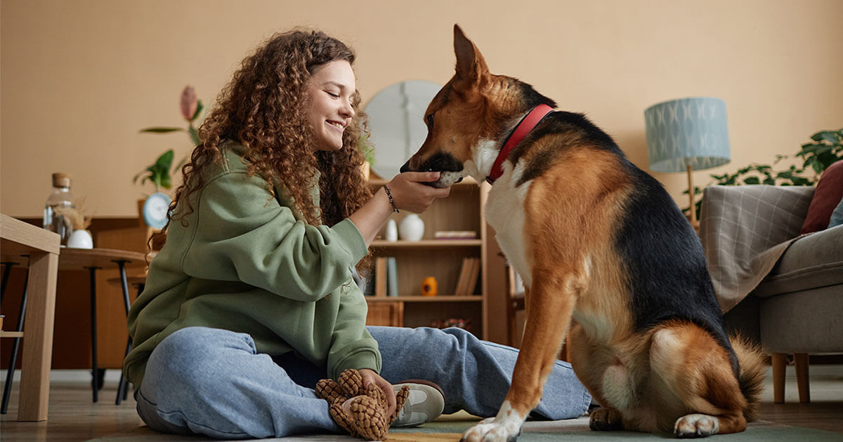 How to Teach a Dog "No" | Zoetis Petcare