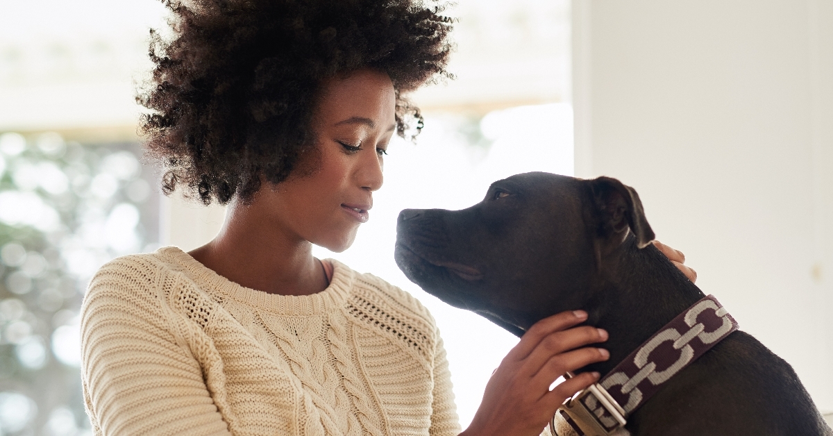 Diroban for Pet Owners | Zoetis Petcare