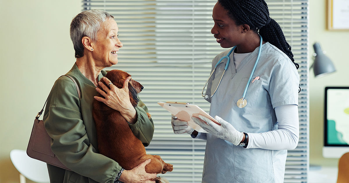 The Scoop on Fecal Testing for Parasites in Dogs and Cats | Zoetis Petcare