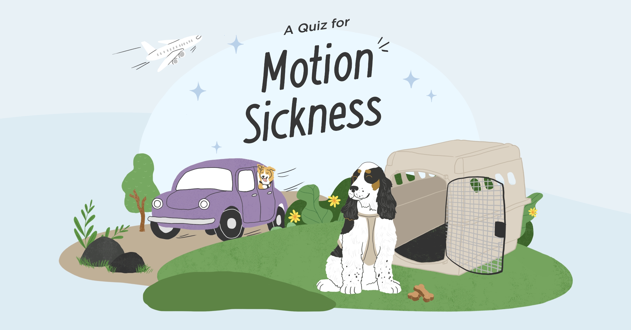 Dog Motion Sickness Quiz | Zoetis Petcare