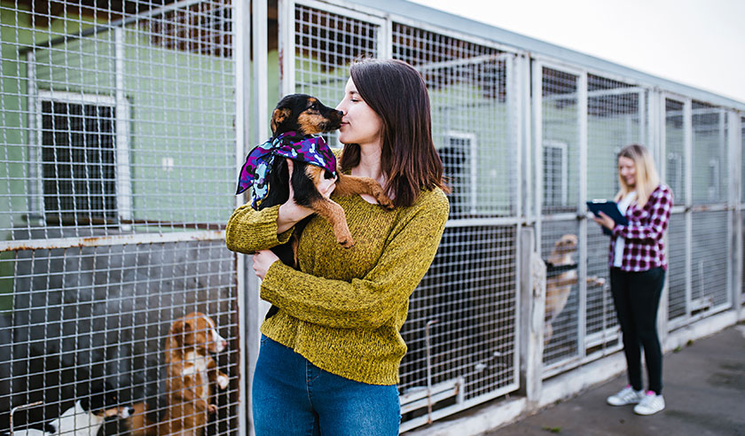 Vet-Approved Adoption Articles | Zoetis Petcare