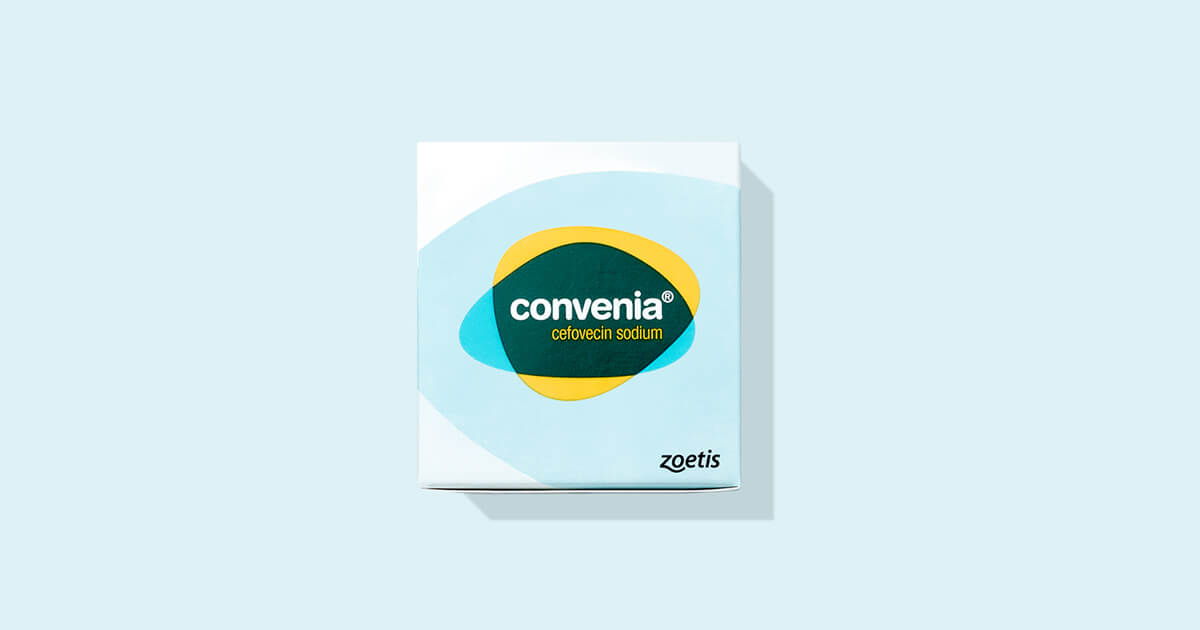 Convenia Rewards Offers | Zoetis Petcare