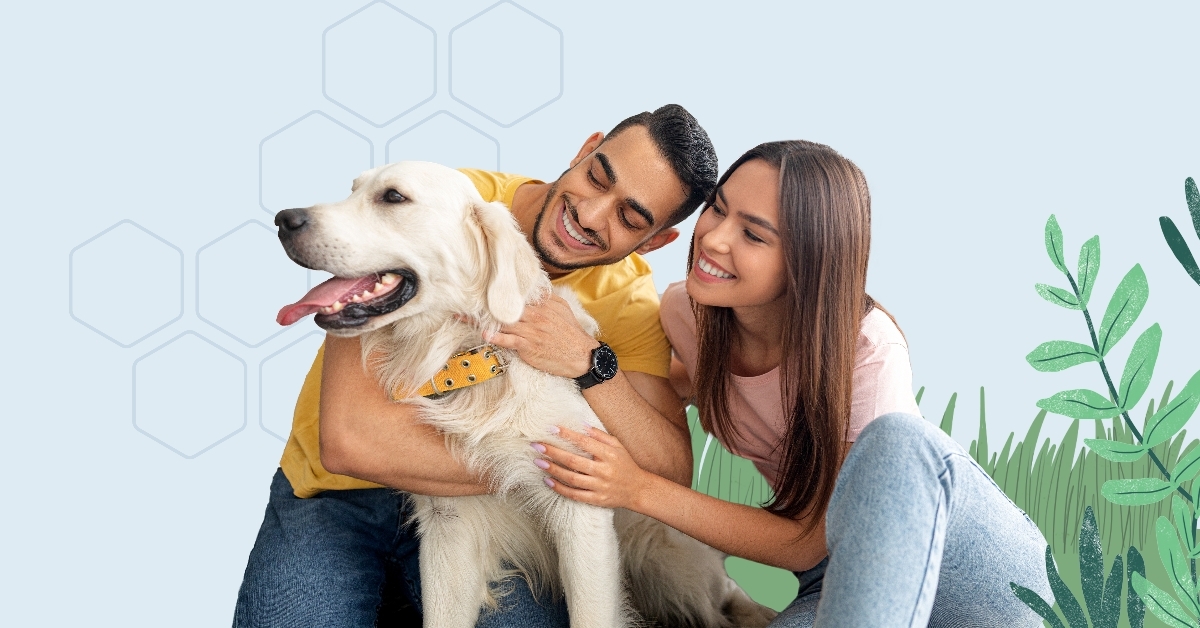 Vanguard Dog Vaccines for Pet Owners | Zoetis Petcare