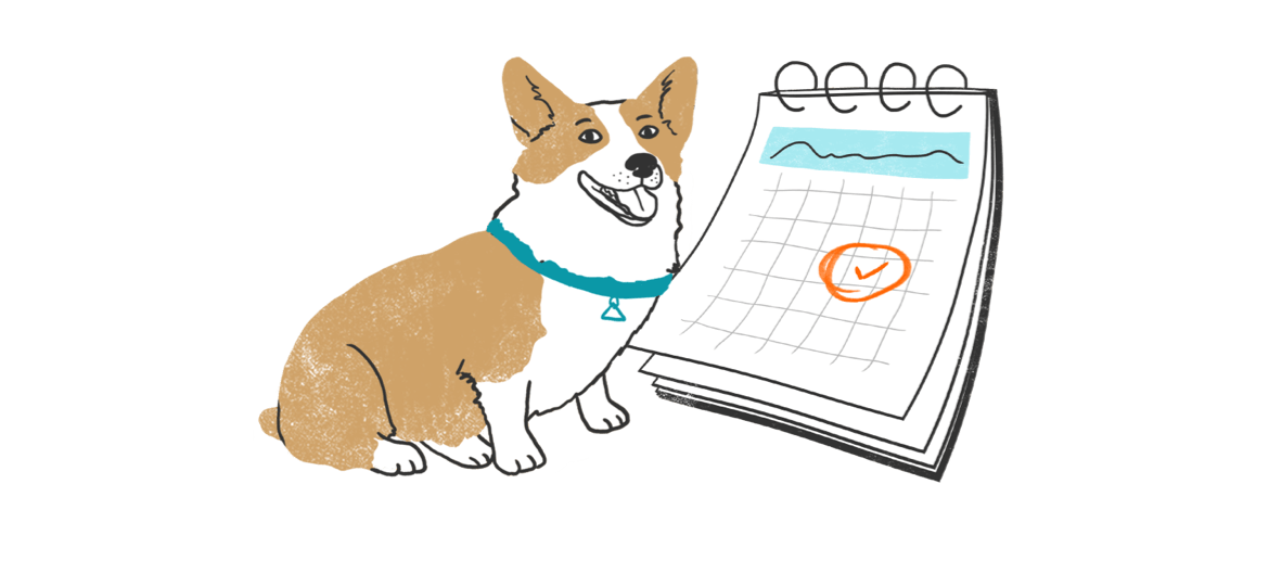 ProHeart 12 for Pet Owners | Zoetis Petcare