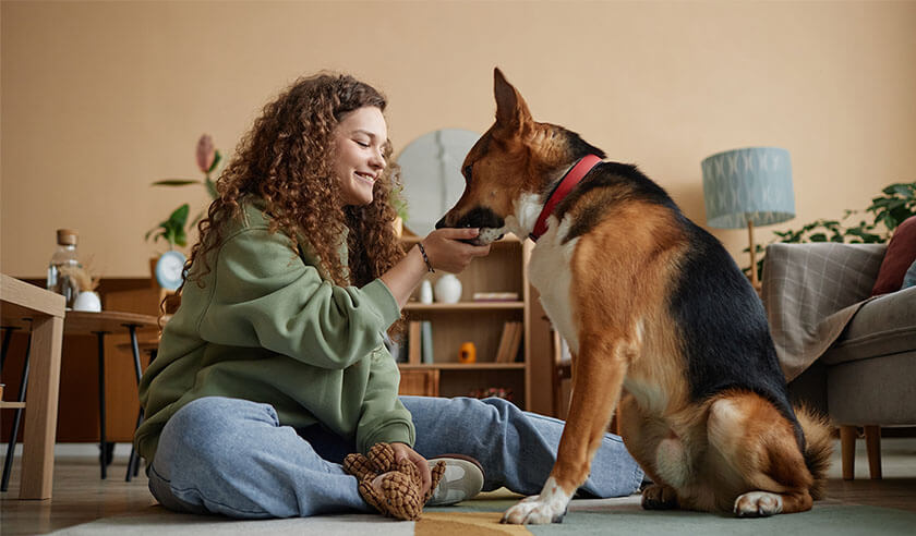 Behavior & Training | Zoetis Petcare