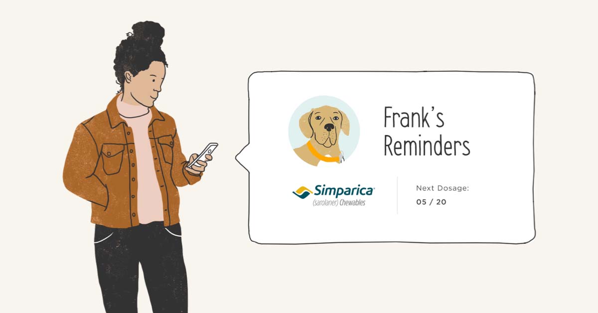 Keep Up to Date With Your Pet's Medication | Zoetis Petcare