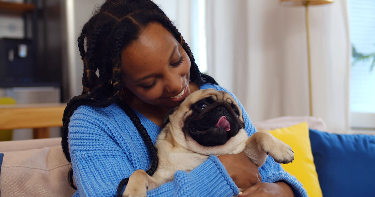 Best Dogs for First-Time Owners | Zoetis Petcare