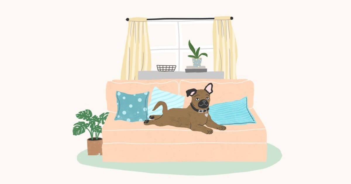 Dog-Proofing Checklist | Zoetis Petcare