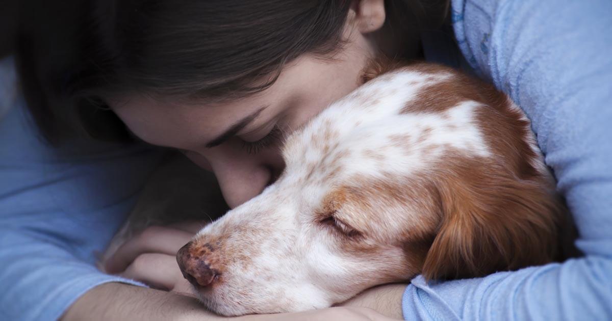 Euthanizing a Pet: Preparation & Next Steps | Zoetis Petcare