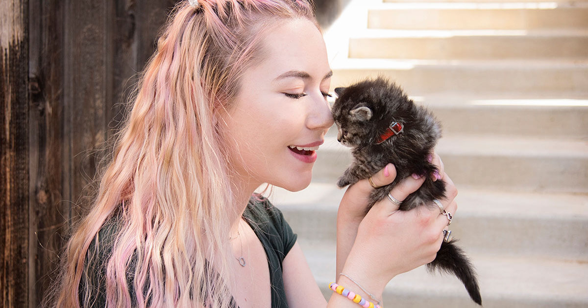 Worms in Cats: Symptoms, Treatment, and More | Zoetis Petcare