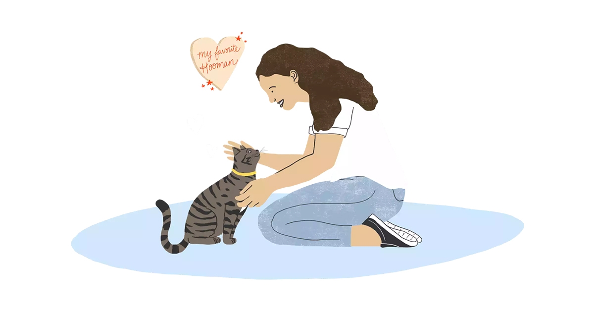 Cat Socialization Checklist | Zoetis Petcare