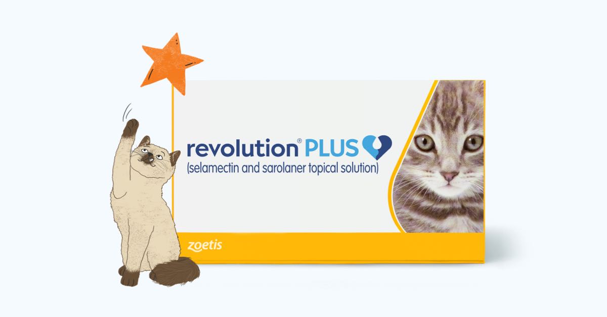 Earn up to $29 in Rewards with Revolution Plus | Zoetis Petcare