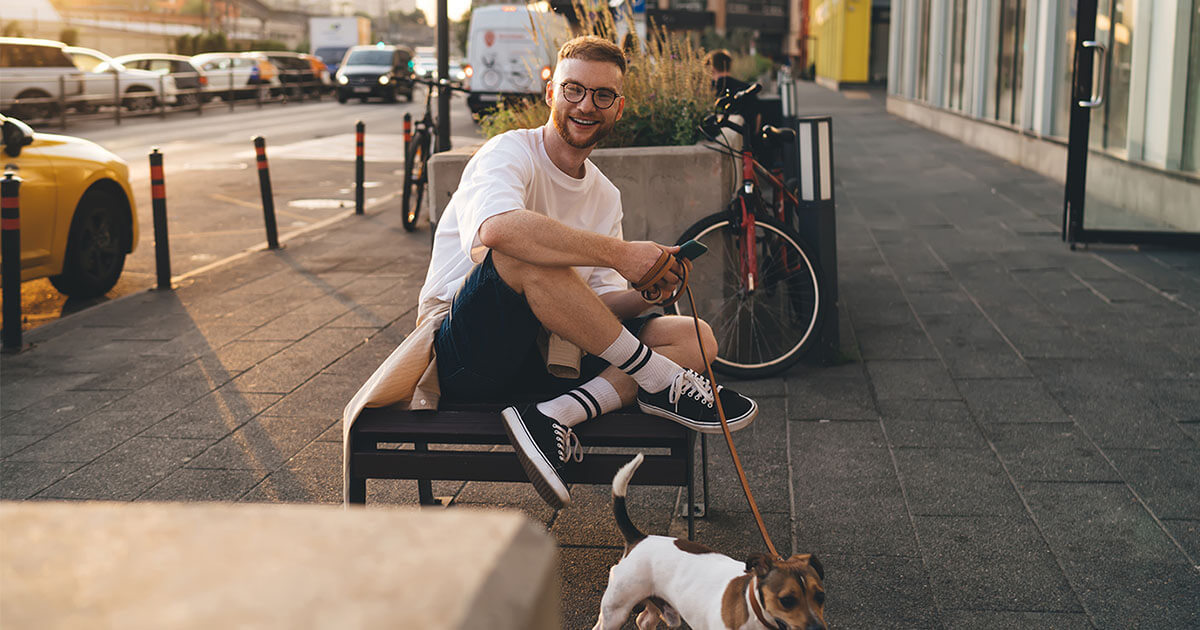 What Are the Effects of Air Pollution on Pets? | Zoetis Petcare