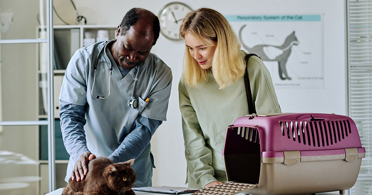 Uncovering Urinalysis in Dogs and Cats | Zoetis Petcare