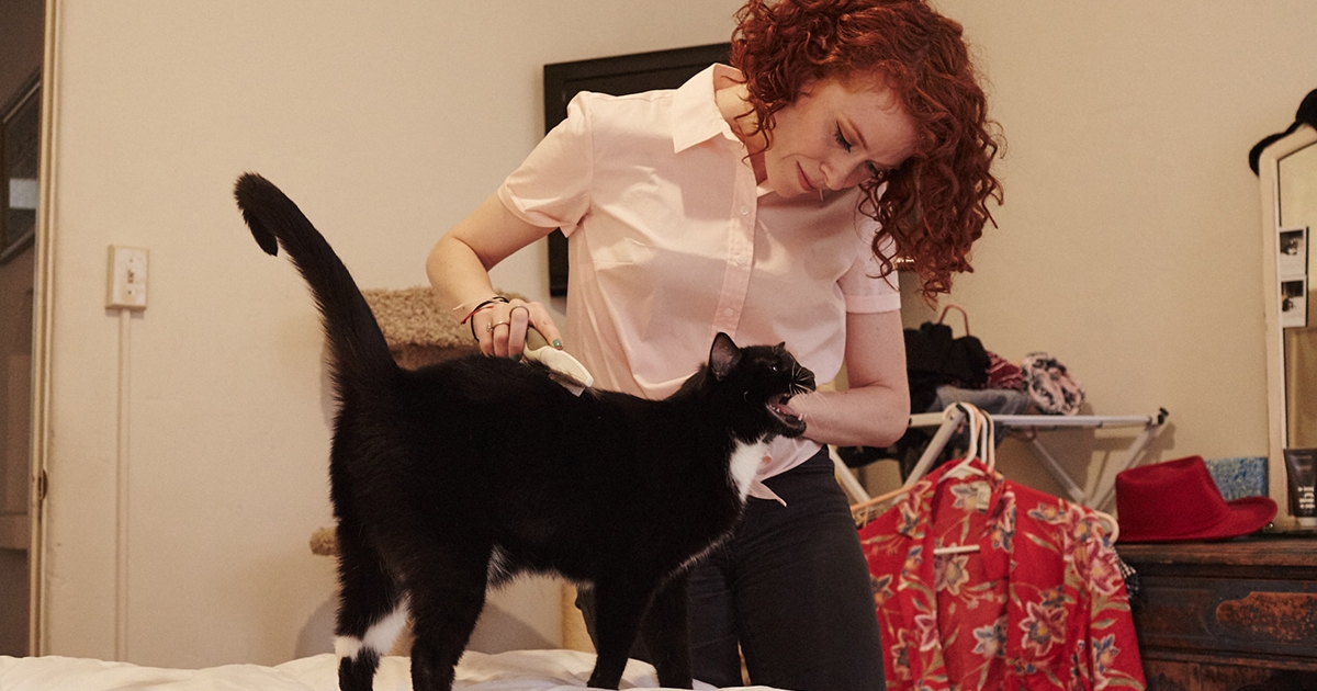 Grooming Your Cat at Home | Zoetis Petcare