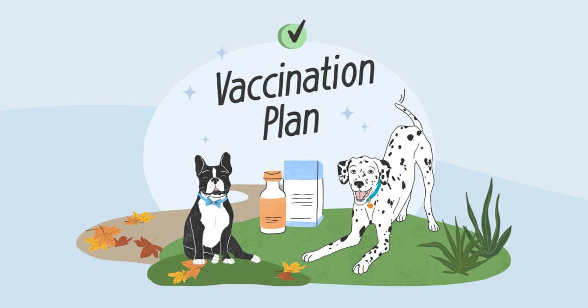 Vaccines Quiz for Dogs | Zoetis Petcare