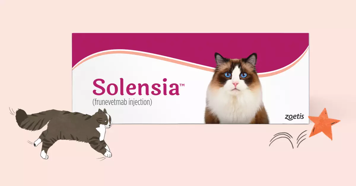 Earn up to $8 in Rewards with Solensia | Zoetis Petcare