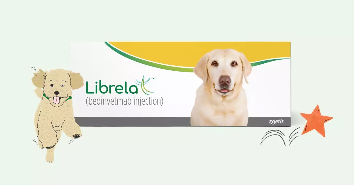 Earn up to $15 in Rewards with Librela | Zoetis Petcare
