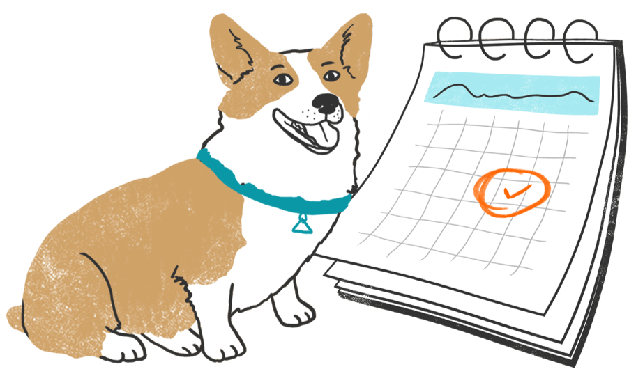 Worry-Free Reminders to Keep Up Your Dog's Pest Defense | Zoetis Petcare