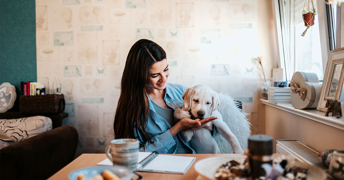 Probiotics and Prebiotics for Dogs: What to Know | Zoetis Petcare