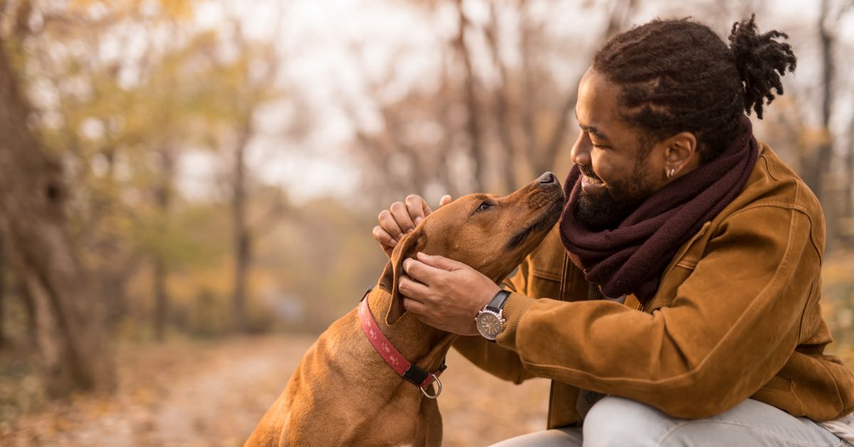 Librela Facts | Zoetis Petcare