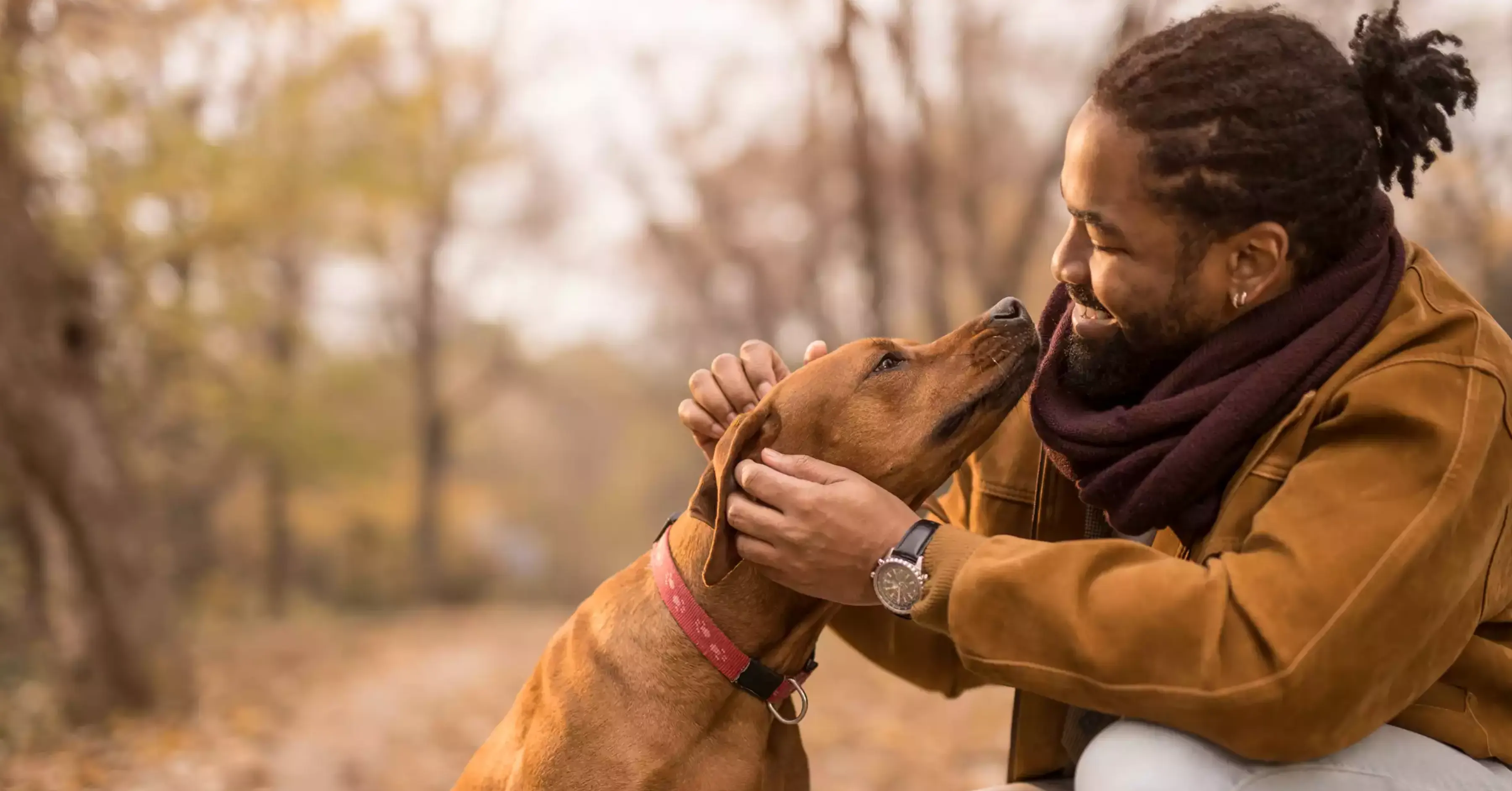 Librela Facts | Zoetis Petcare