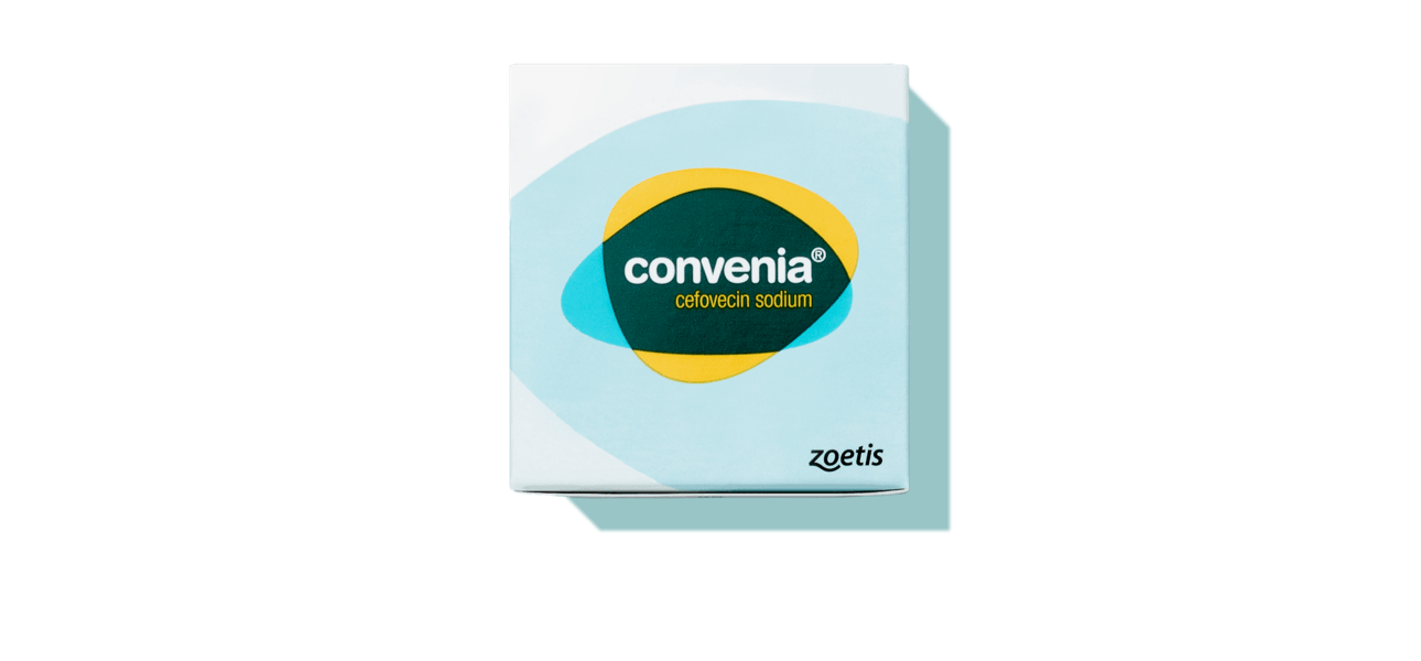 Convenia Rewards Offers | Zoetis Petcare